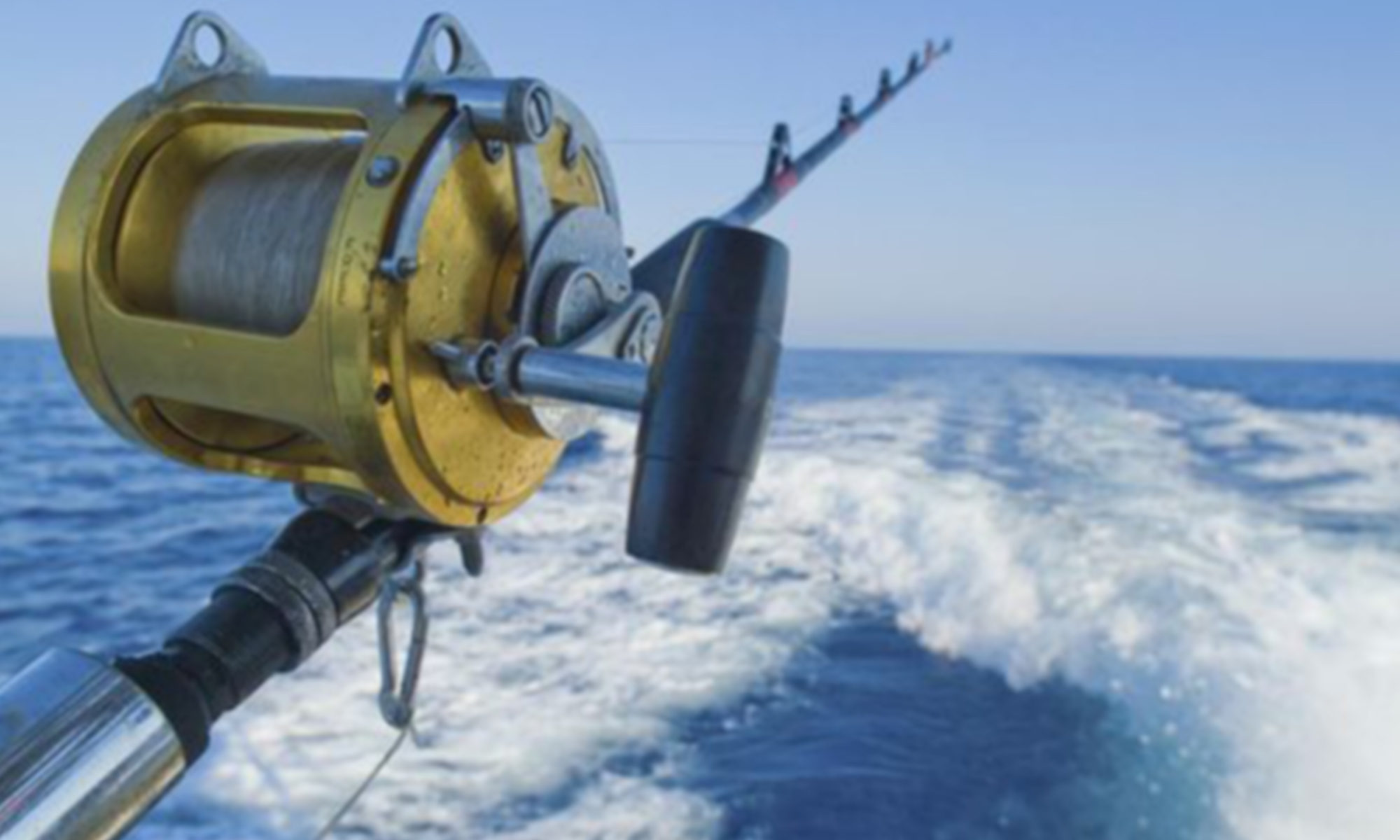 cropped-Fishing-background.jpg – HOFNOV